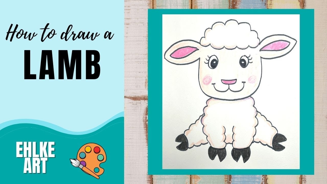 How to DRAW a LAMB - YouTube