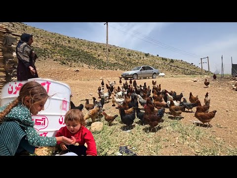 Building chicken coops by a 😍nomadic family in the mountains: Bardia's playfulness