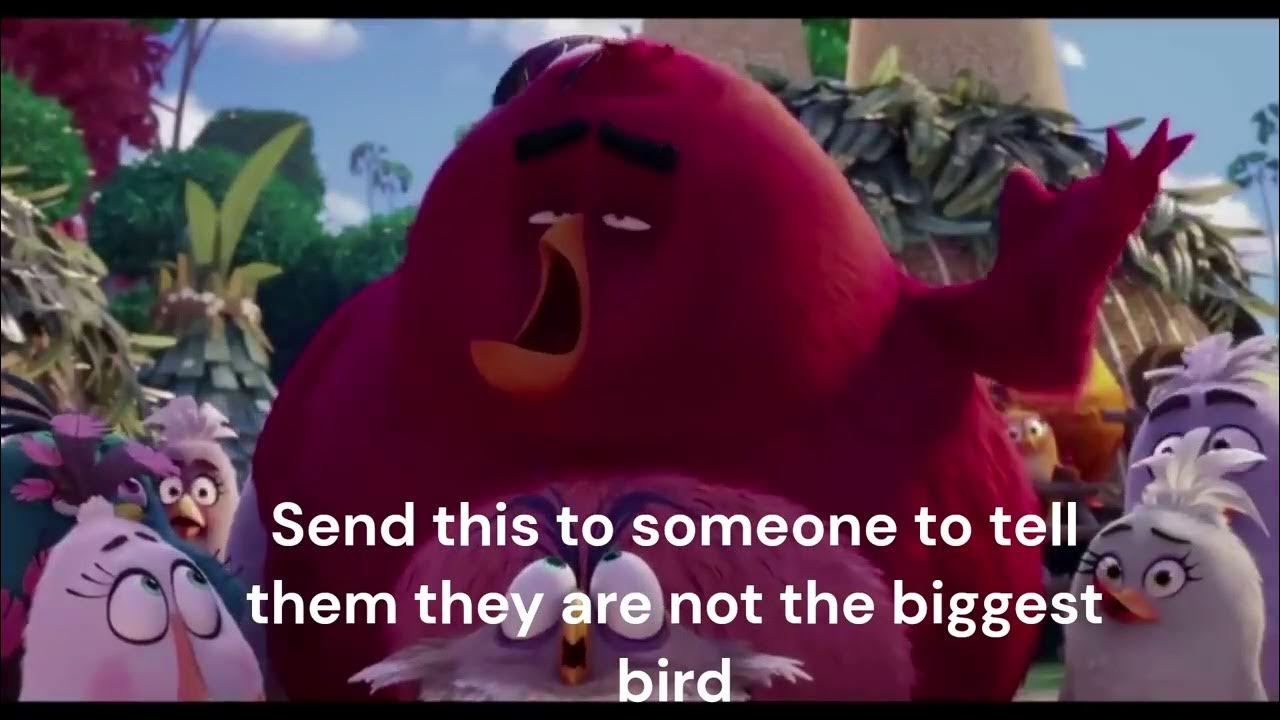 Im Da Biggest Bird Youtube
