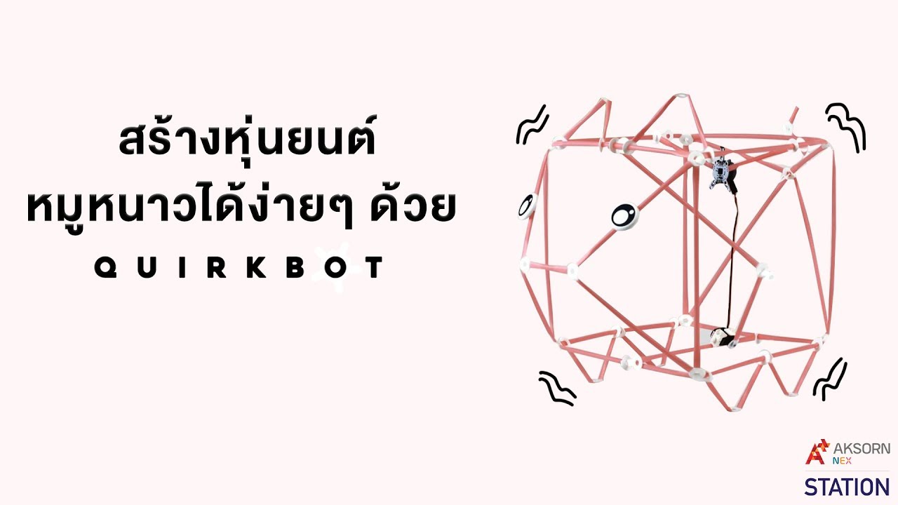 อากาศร้อนแบบนี้..หมูจะหนาวได้อย่างไร มาสร้างหุ่นยนต์หมูหนาวได้ง่ายๆ ด้วย Quirkbot - YouTube