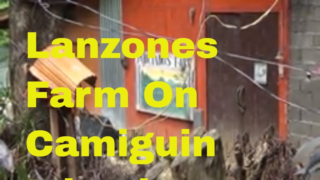 Lanzones Farm Sagay Camiguin Island Philippines - YouTube