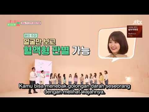 Sakura Guess The Blood Type Member Of IZONE!! Amazing. Indonesian Sub.