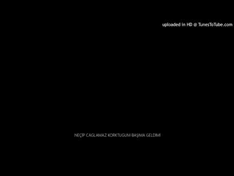 NEÇİP CAGLAMAZ KORKTUGUM BAŞIMA GELDİMİ