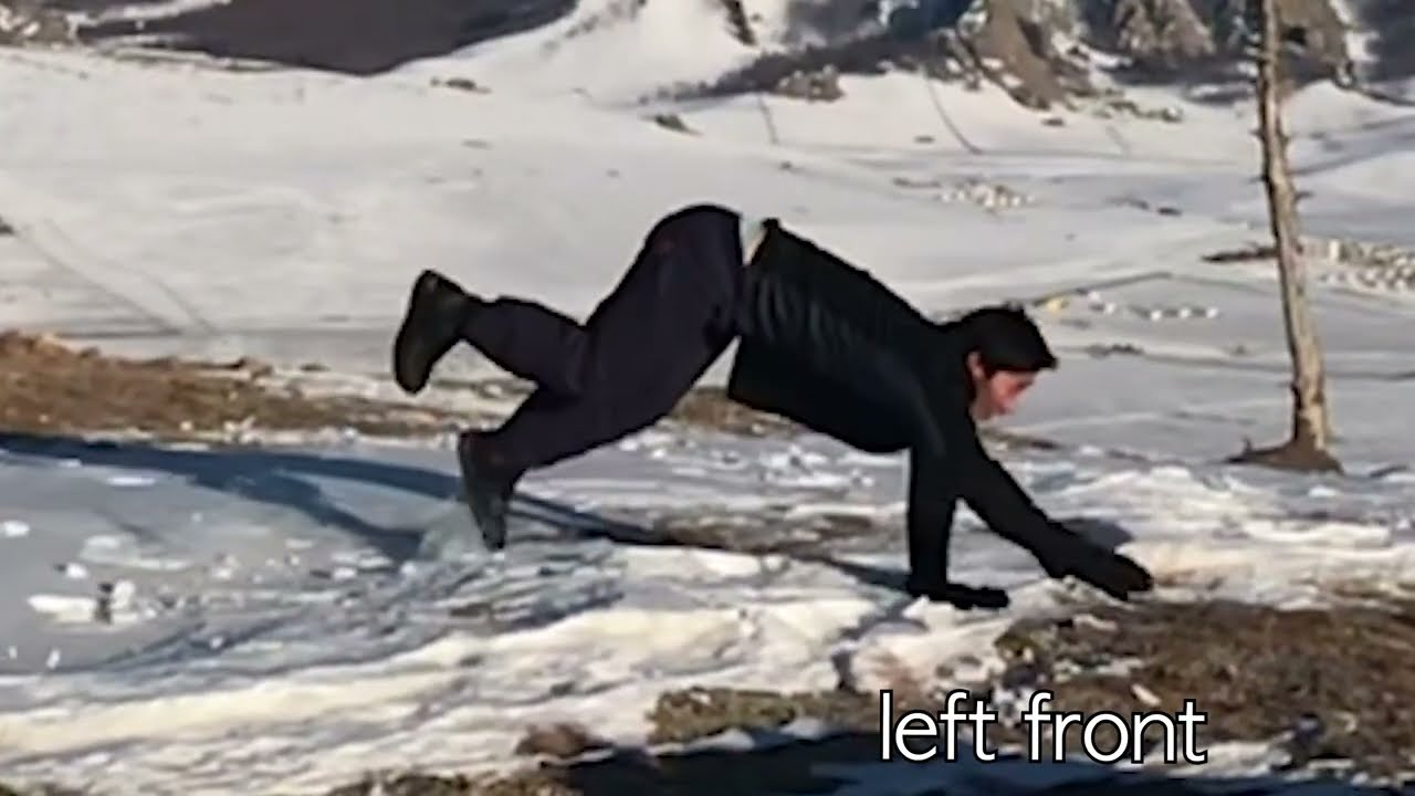 difference between rotary gallop and transverse gallop - YouTube