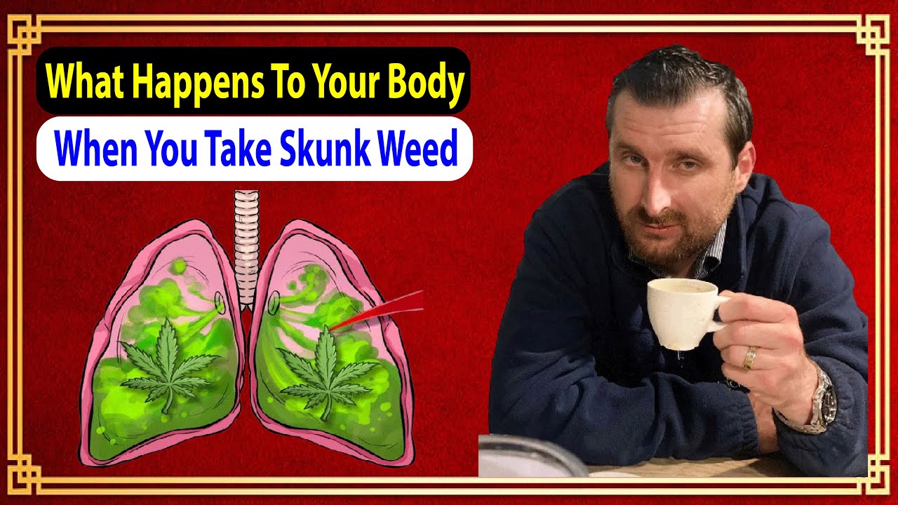 What Happens To Your Body When You Take Skunk Weed - YouTube