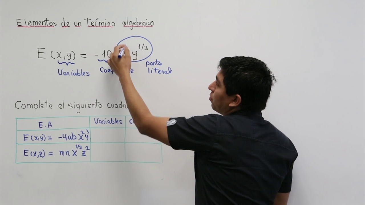 Elementos de un término algebraico - YouTube