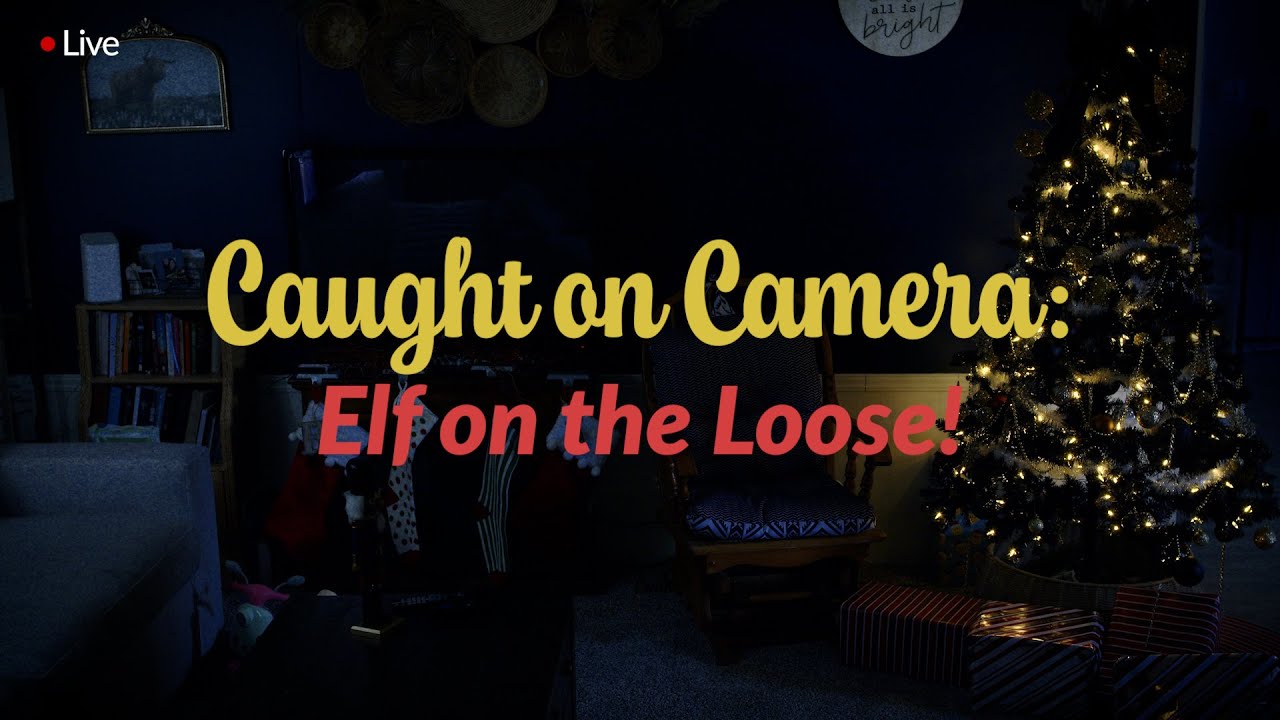 Caught on Camera: Elf on the Loose! - YouTube