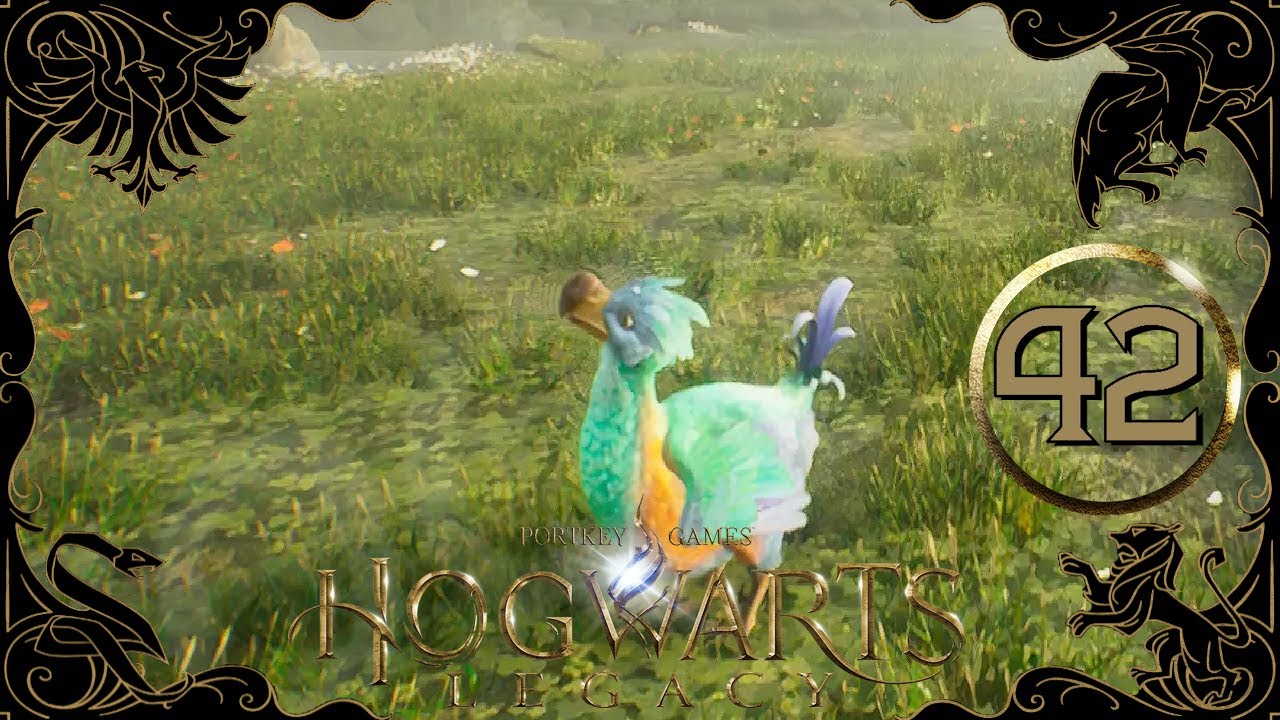 Magic Dodos! - Hogwarts Legacy - YouTube