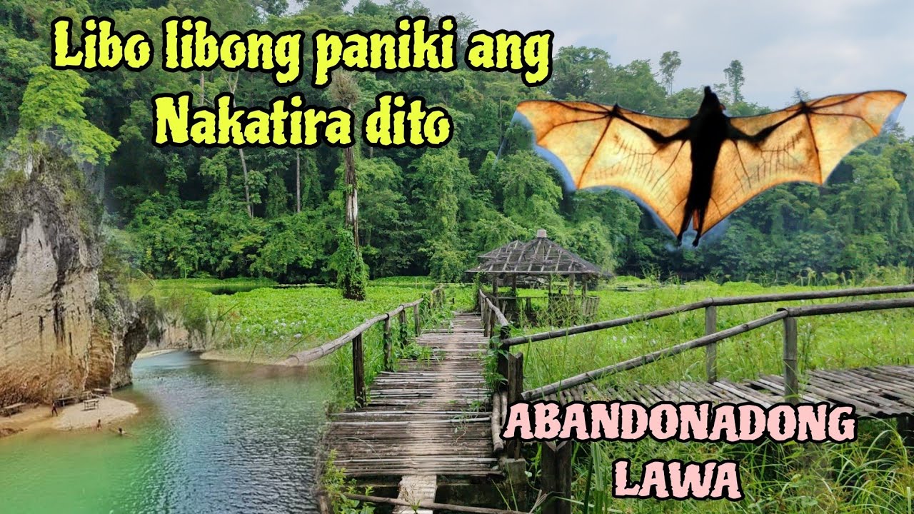 BAHAY NA NAKALUTANG SA WATER LILY|| NAGING TIRAHAN NG MGA PANIKI - YouTube