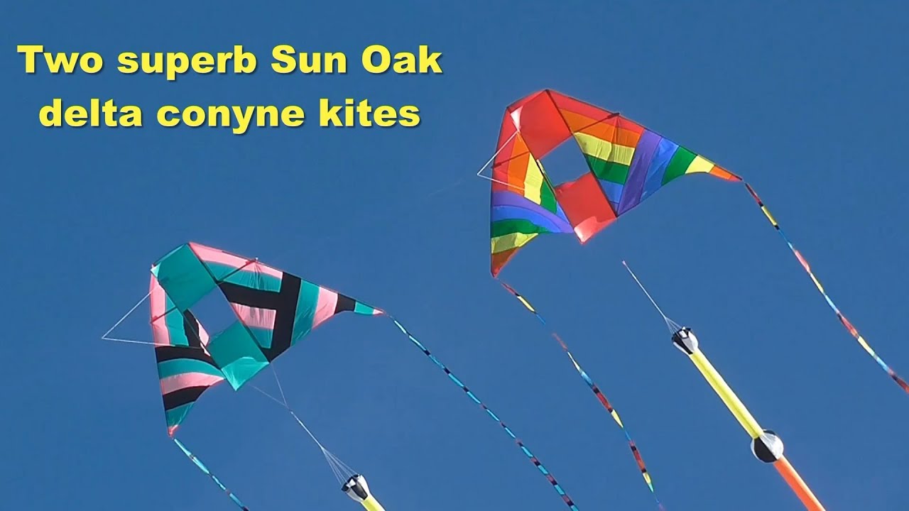 Sun Oak DC kite duo - YouTube