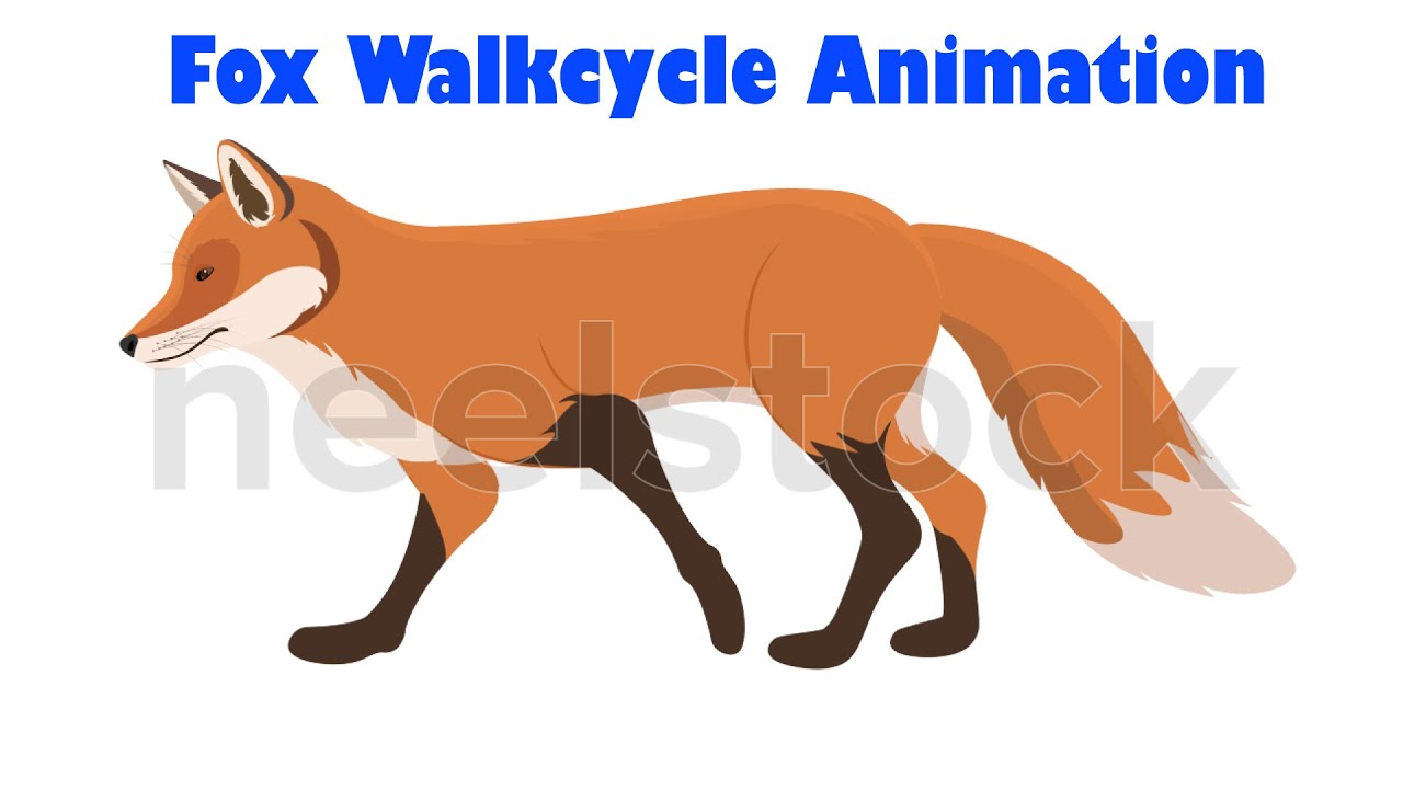 Fox Walking Animation, cycle animation, 2D loop animation on ...