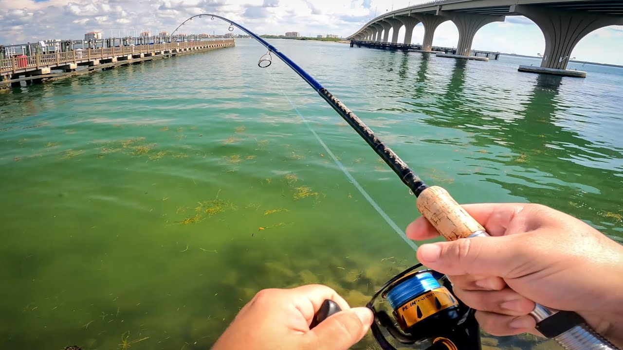 Using live bait to catch fish around structure. - YouTube