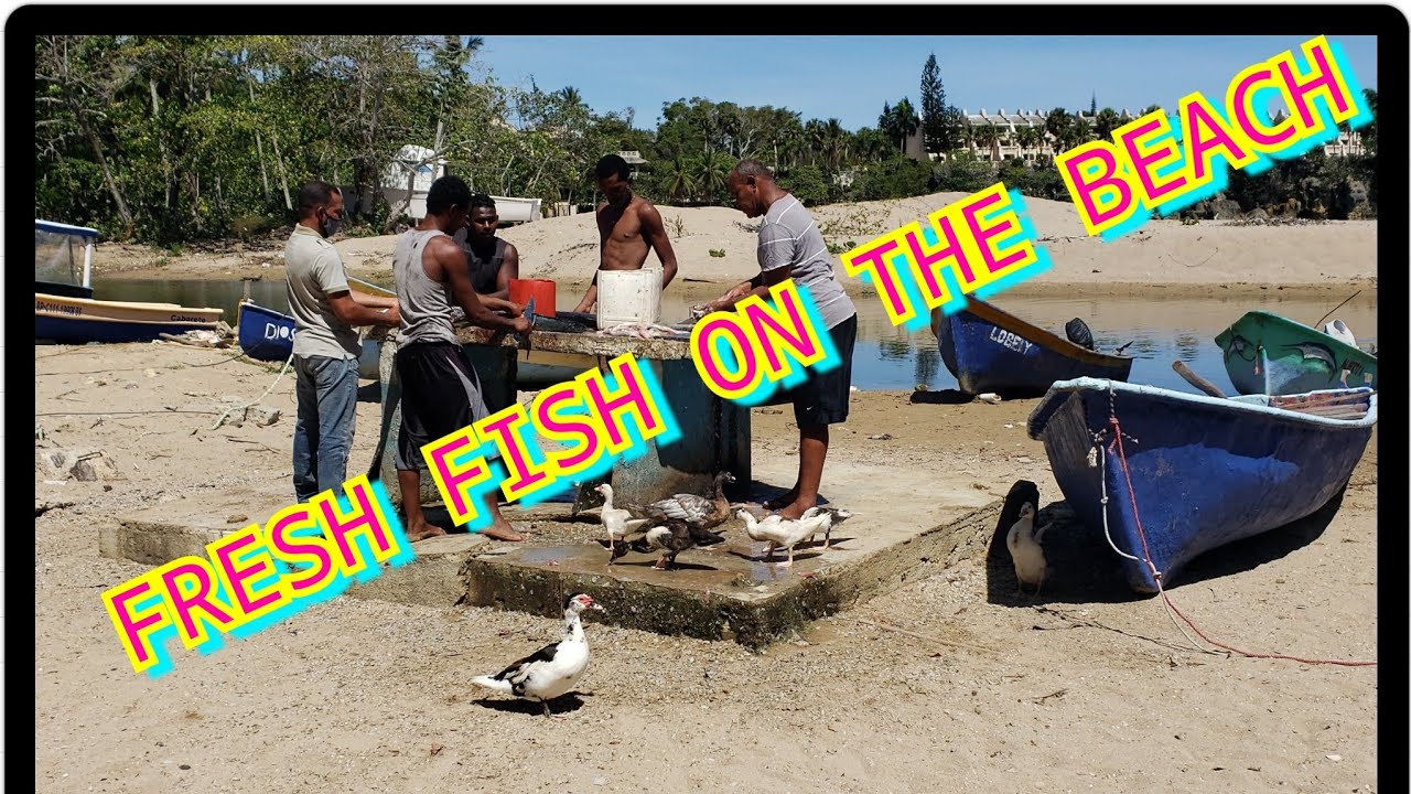 Fresh Fish In Sosua || Los Charamicos Beach || The Dominican Republic ...