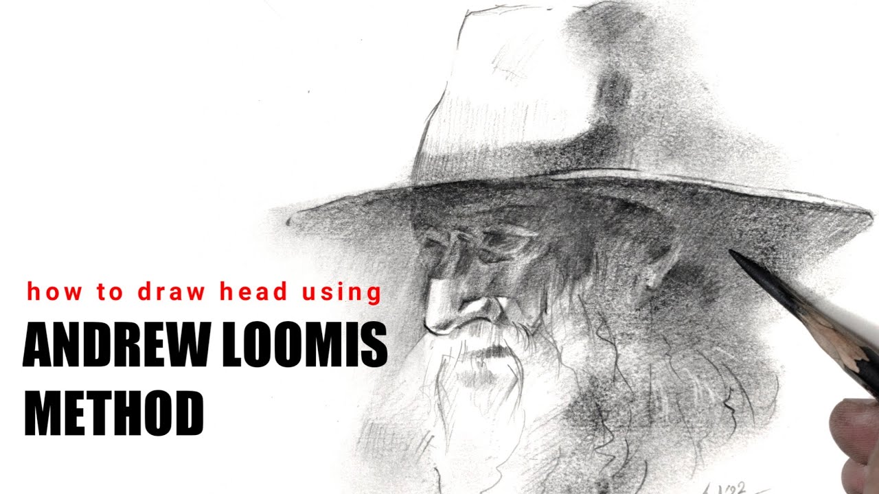 How To Draw Head Using Andrew Loomis Method | Loomis Method Explained 🔥 ...