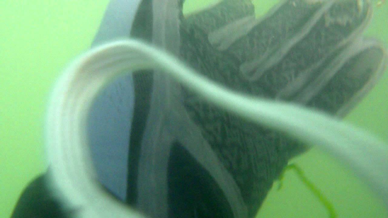 Huge Pile Surfperch Spearfishing in terrible visibility. - YouTube