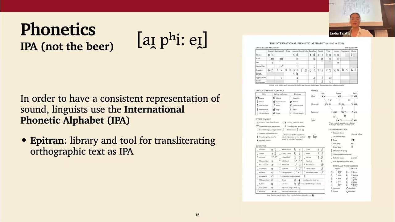 CMU Advanced NLP 2024 (22): Linguistics and Computational Linguistics - YouTube