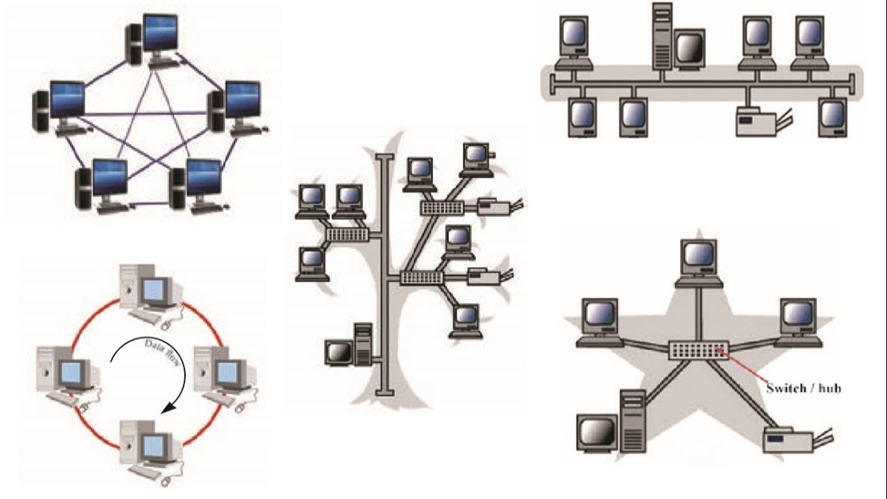 Network Topology | ICT O/L - YouTube