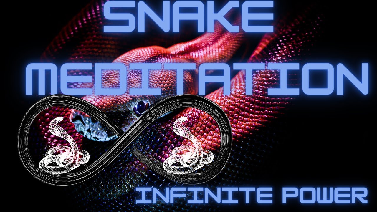 The Power of Snake Meditation Music To Help You Relax - YouTube