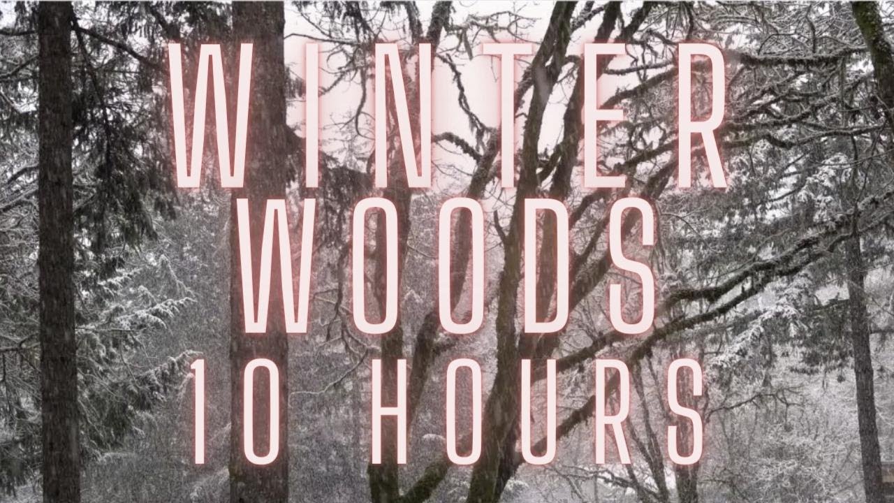 10 HOURS Heavy Snow Storm Falling Over Woodlands | Relaxing Snowstorm ...