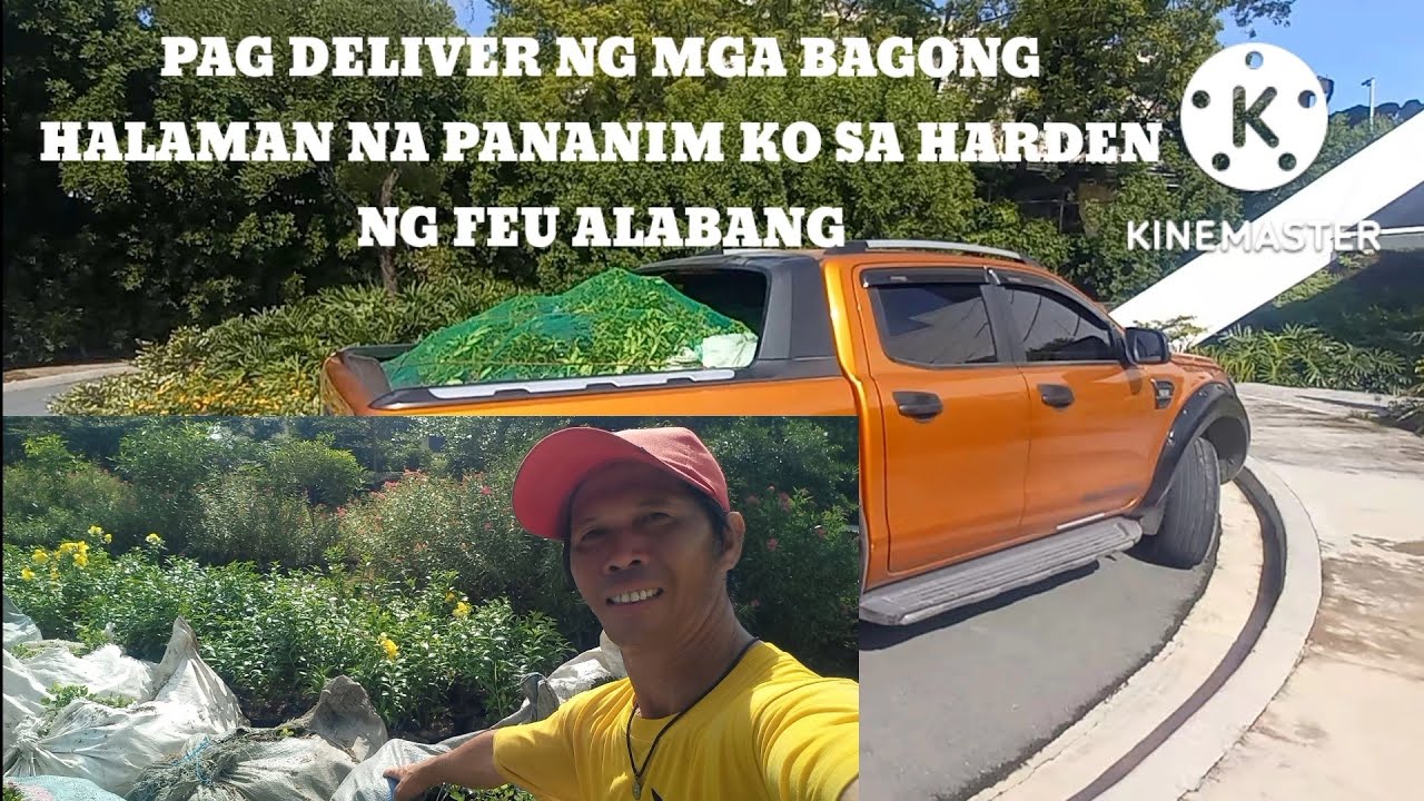 KAPINOY/PAG DELIVER NG MGA BAGONG HALAMAN NA PANANIM KO SA HARDEN NG ...