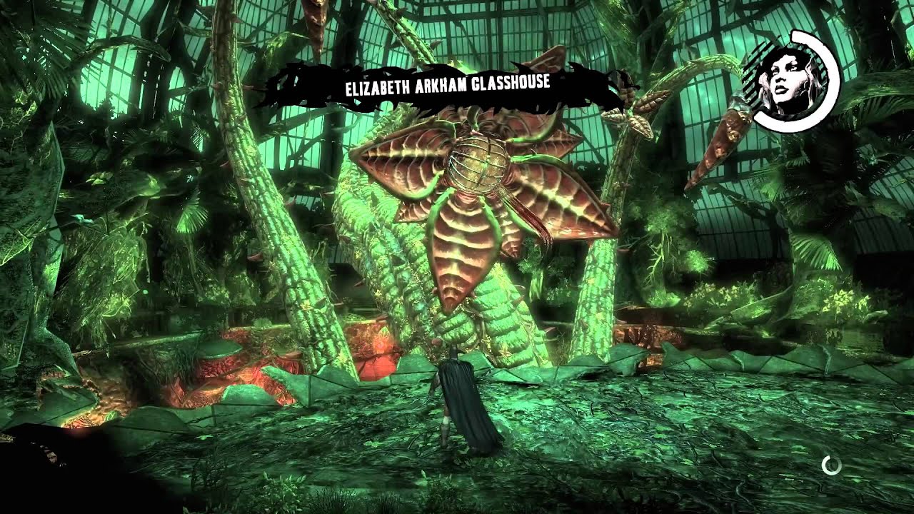 Batman: Arkham Asylum - Walkthrough 12 of 13 [1080p60fps] - YouTube