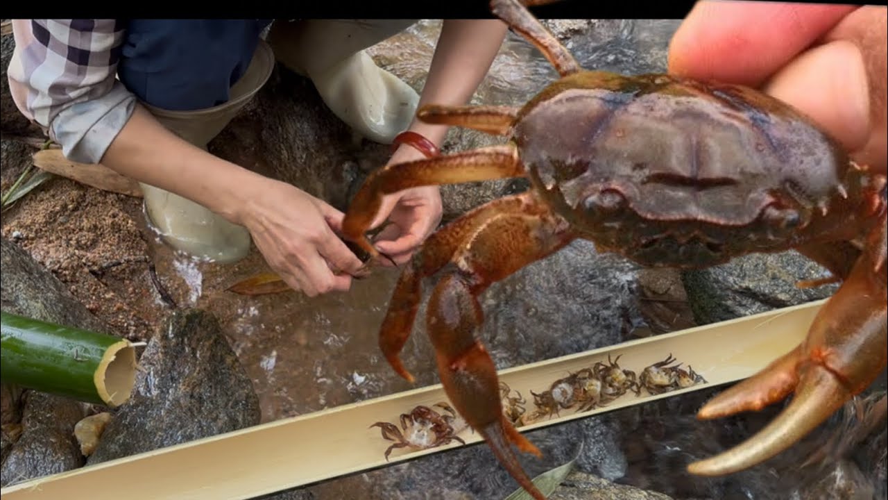Catching Crabs in a Stream – Cooking a Simple Tribal Meal in the Wild ...