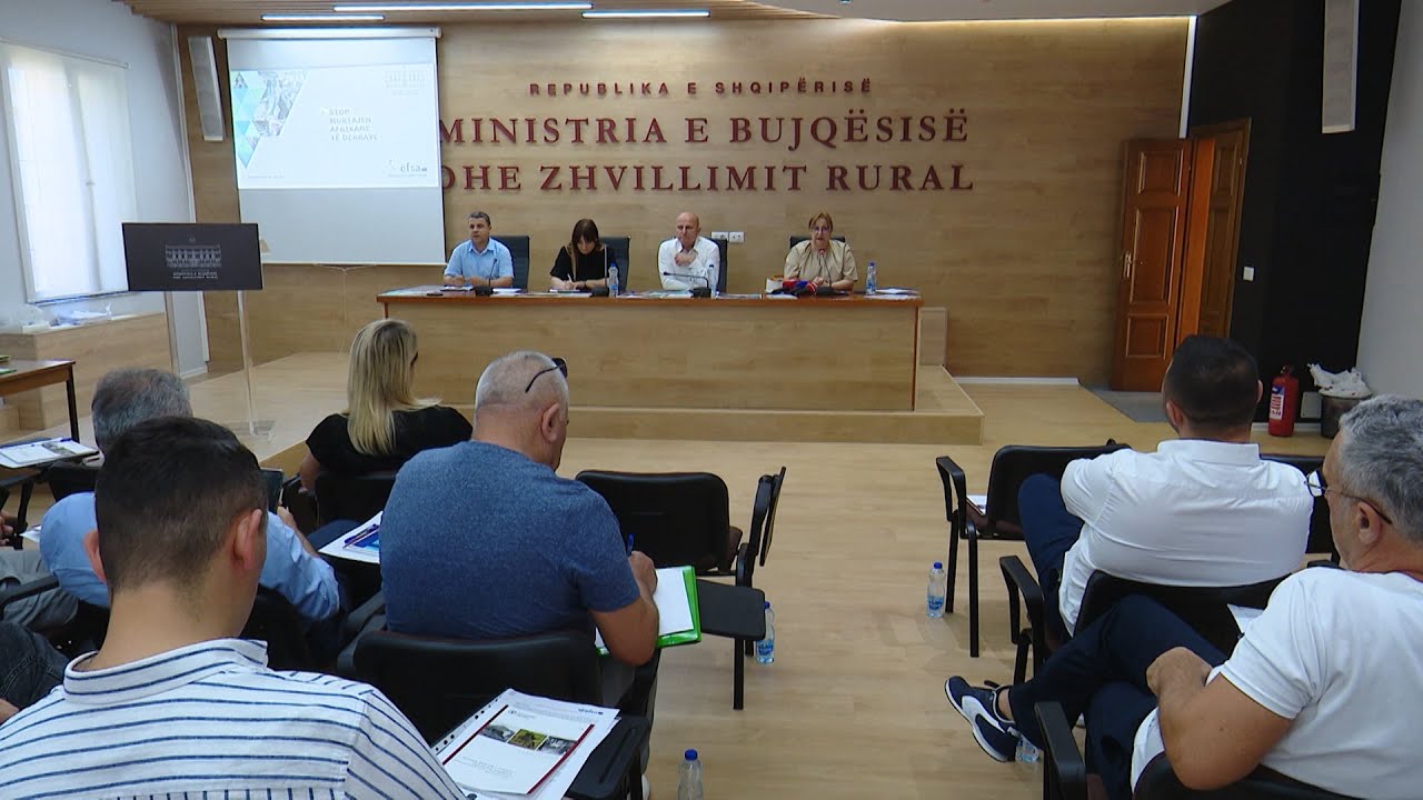 Murtaja afrikane e derrave/ Specialistët: Vendi ynë nuk rrezikohet ...