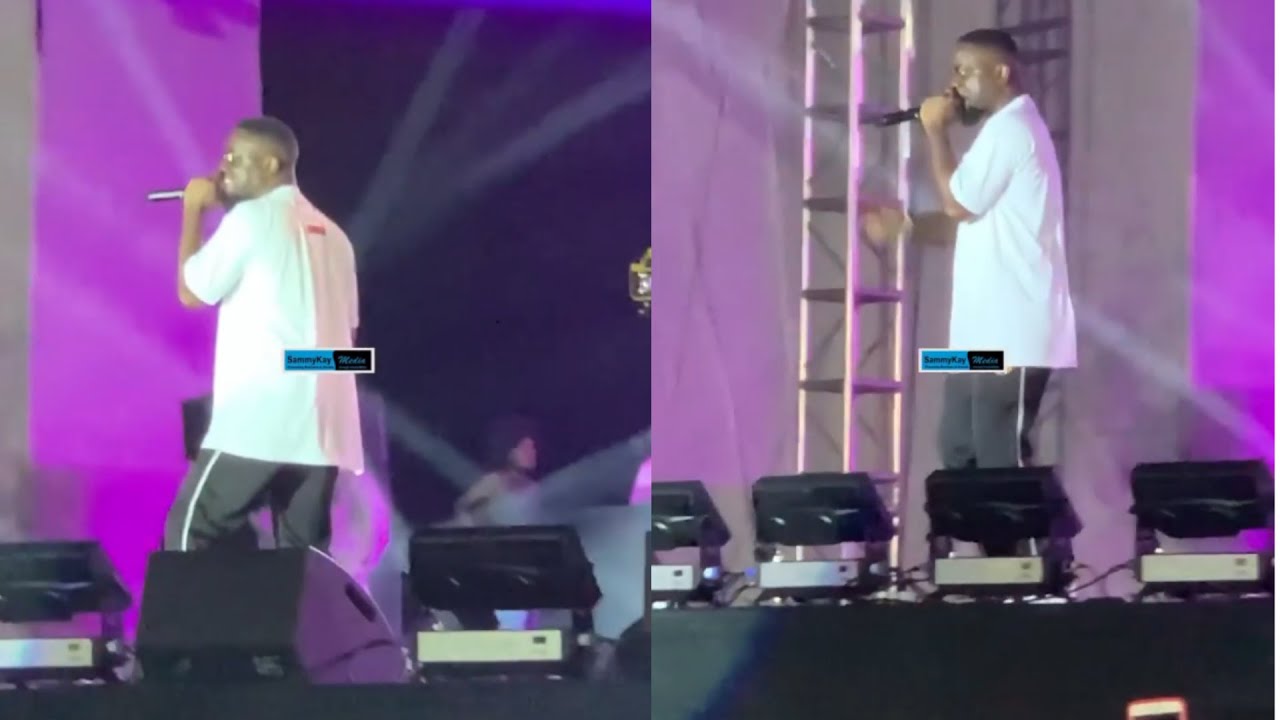 Sarkodie Performance at Wildland Festival🔥🔥 #sarkodie - YouTube