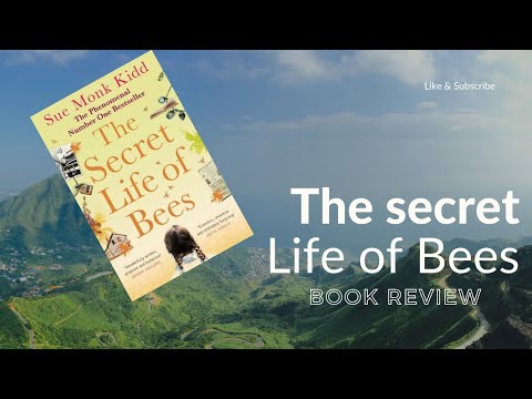 Should The Secret Life Of Bees Be Read In Classrooms