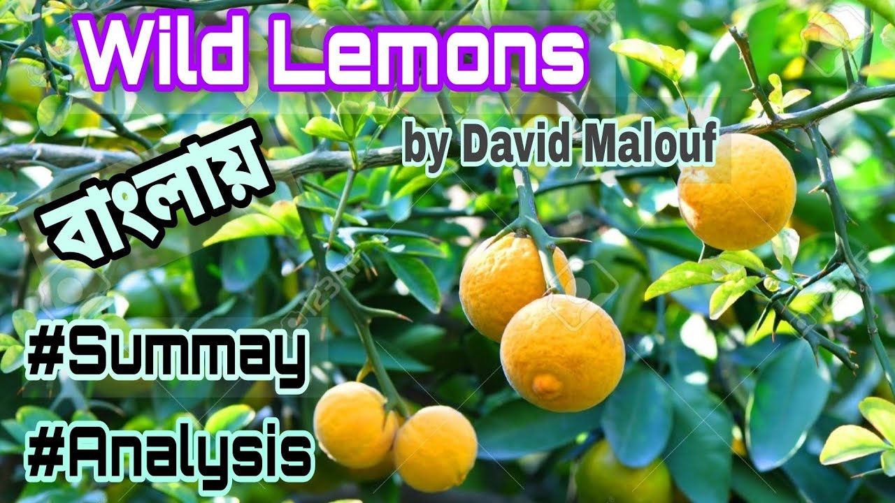 "Wild Lemons" summary in Bangla written by David Malouf. - YouTube