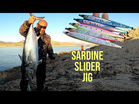 Shore Jigging: A MONSTER Albacore Broke my record AGAIN! Feat: Sardine Slider! EXTREME FIGHT!