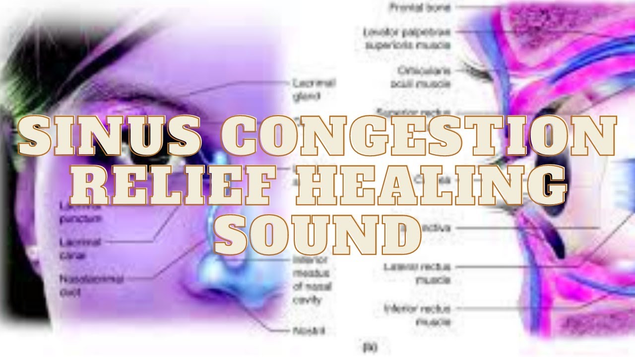 Sinus Congestion Relief Healing Sound | Nasal Congestion and Infection ...