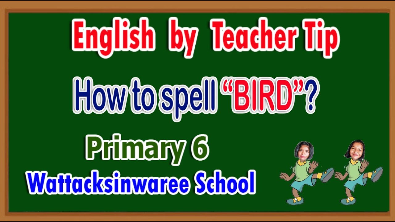 3. How to spell "BIRD"? - YouTube