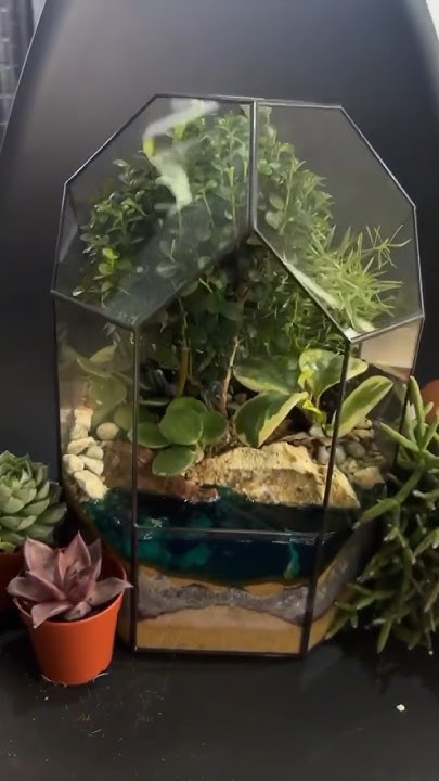 Мастер классы, флорариумы, растения Florarium-flo.ru #мастеркласс # ...