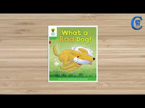 What a Bad Dog, Oxford Reading Tree, Story Book, English - YouTube