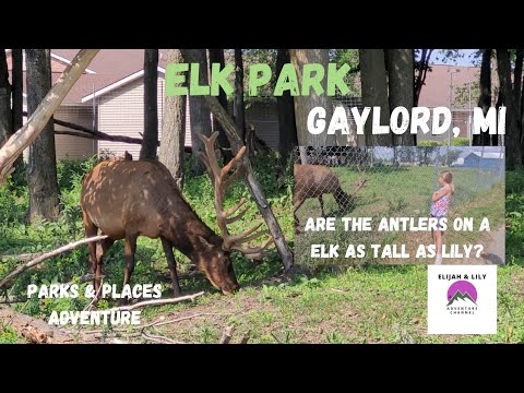 Elk Park - Gaylord Michiagn - Hidden gem - YouTube