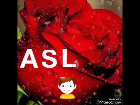 Ramiq Arda Aslan adına aid