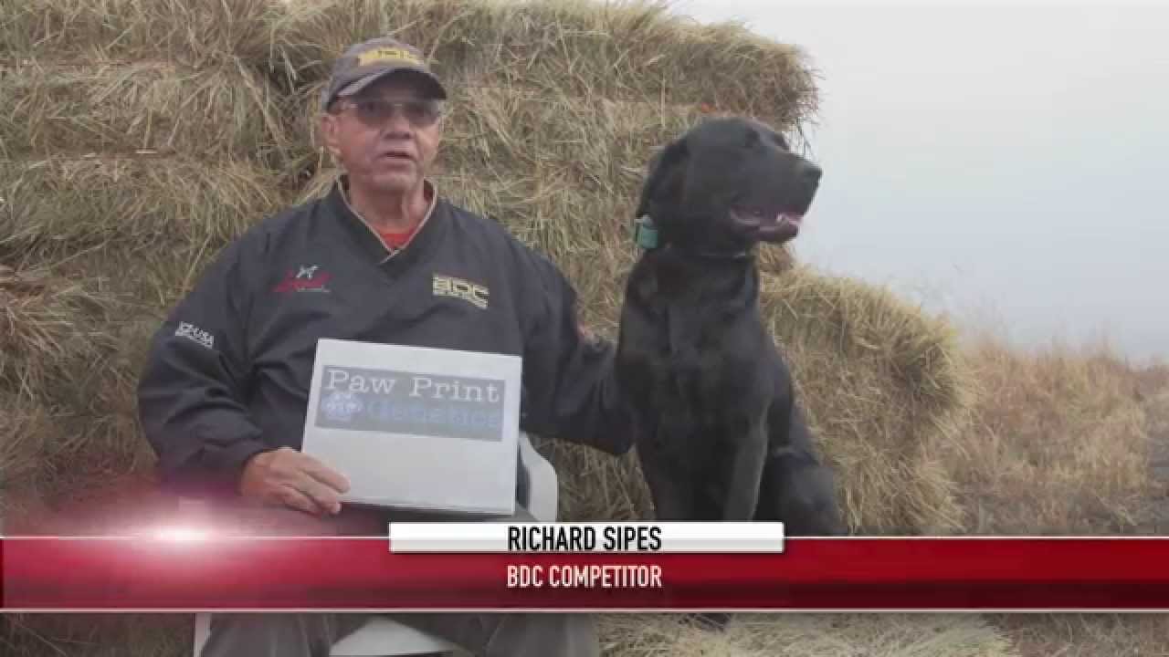 Paw Print Genetics Testimonial - Richard Sipes - YouTube