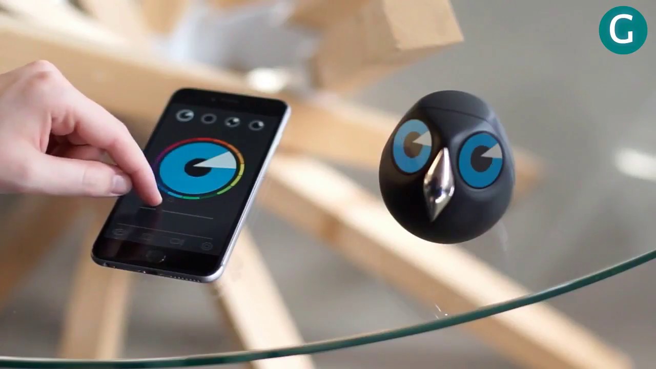 Unbelievable cute surveillance camera | ULO - YouTube