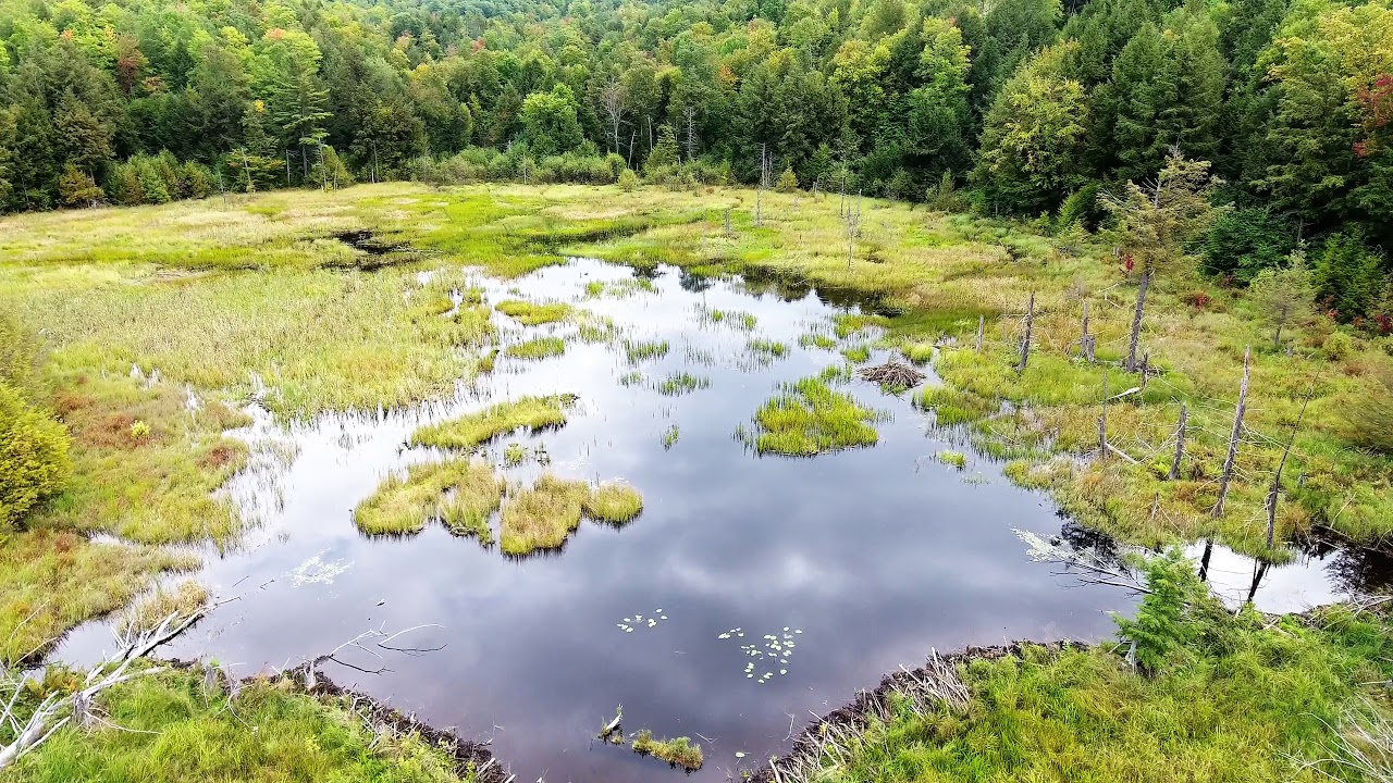 Beaver Meadow Hunting Club - YouTube