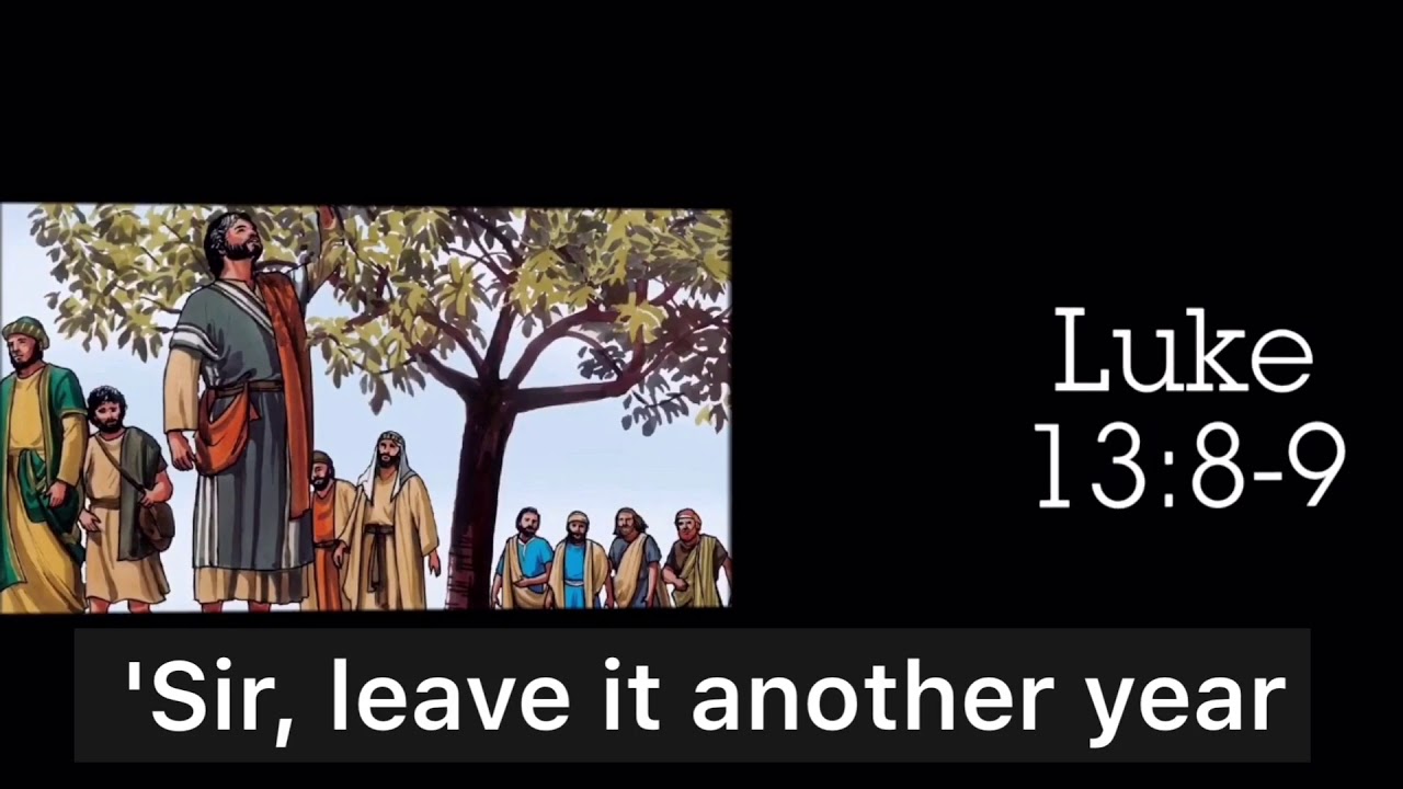 Luke 13 8 9 YouTube Luke 13 8 9 YouTube