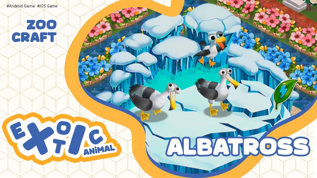 ZOO CRAFT ALBATROSS Review ! - YouTube