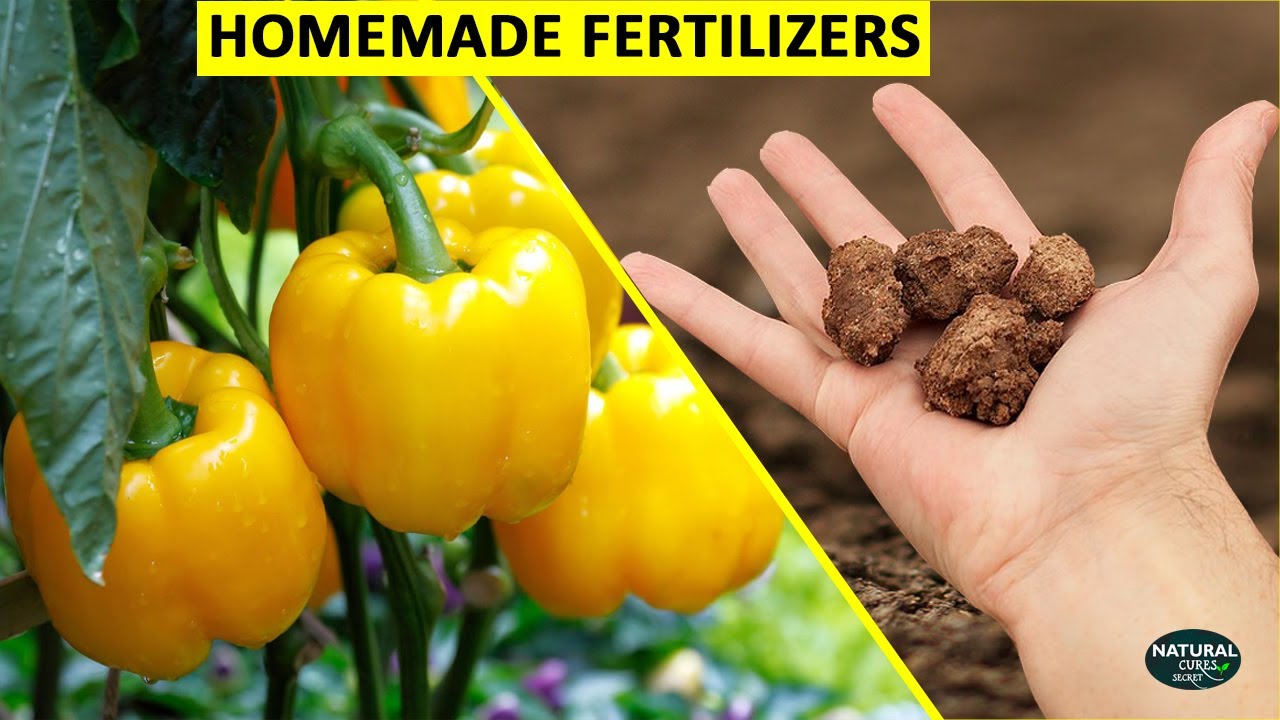 5 Best DIY Homemade Fertilizers for a Vegetable Garden | Organic ...