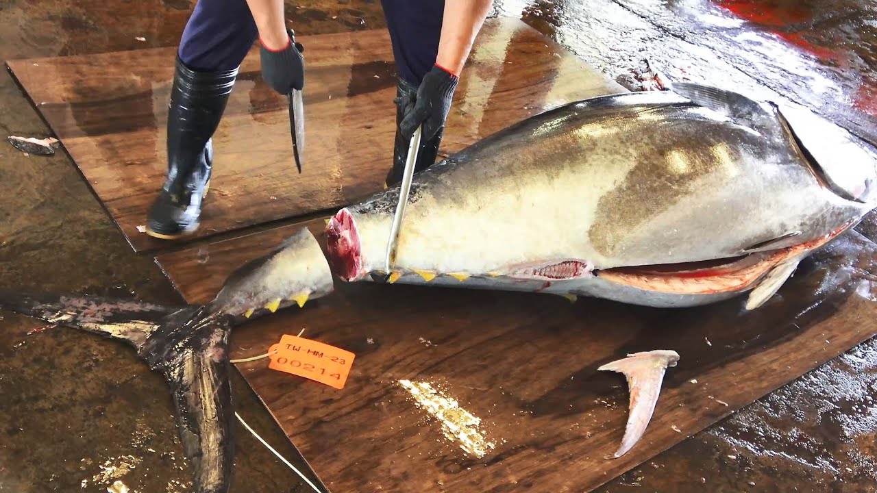 Masterful Bluefin Tuna Cutting - Watch the Experts at Work! - YouTube