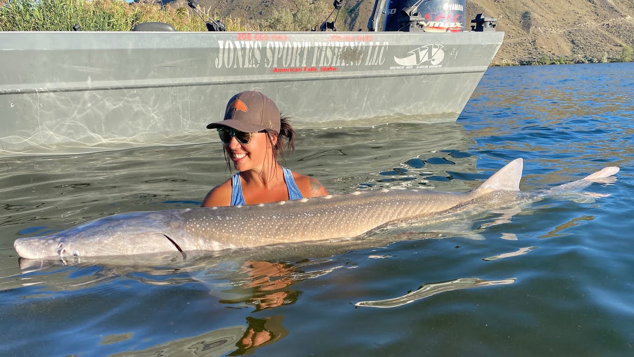 Idaho Sturgeon Highlights! The past month has been insane - YouTube