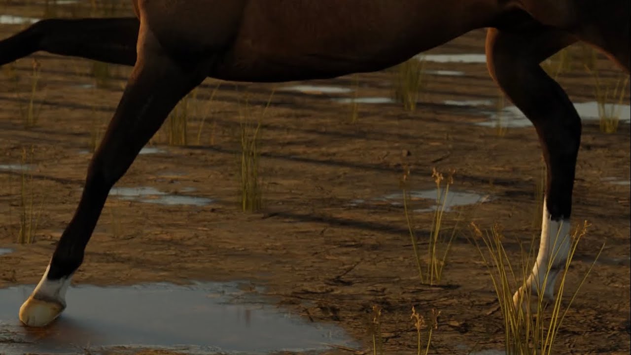 【Blender】Running horse animation - YouTube