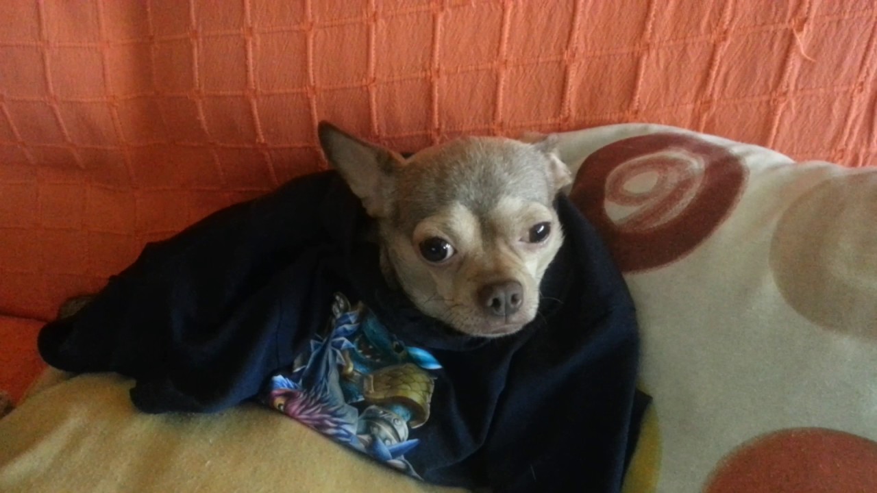 Ooooooooooooooooooooooooooooooooooooooooooooooooooooooooooooooooooooooo ...