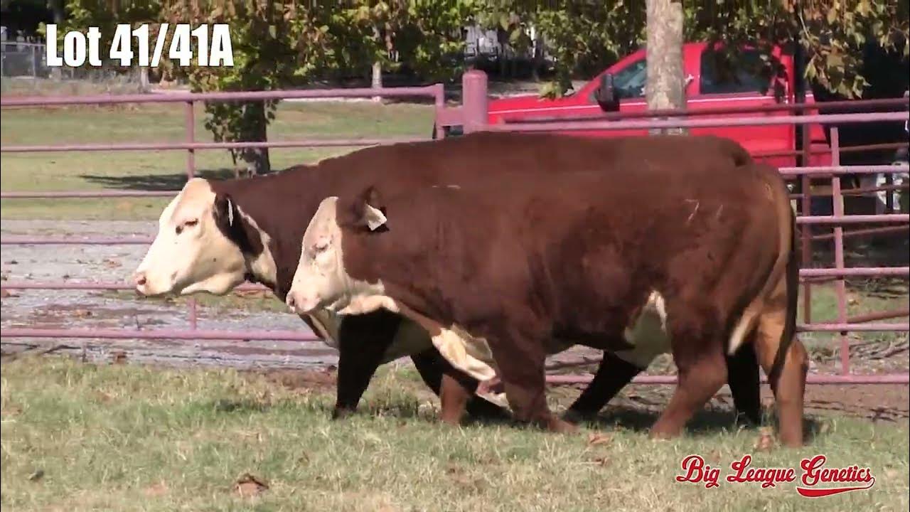 Lot 41 41A - YouTube