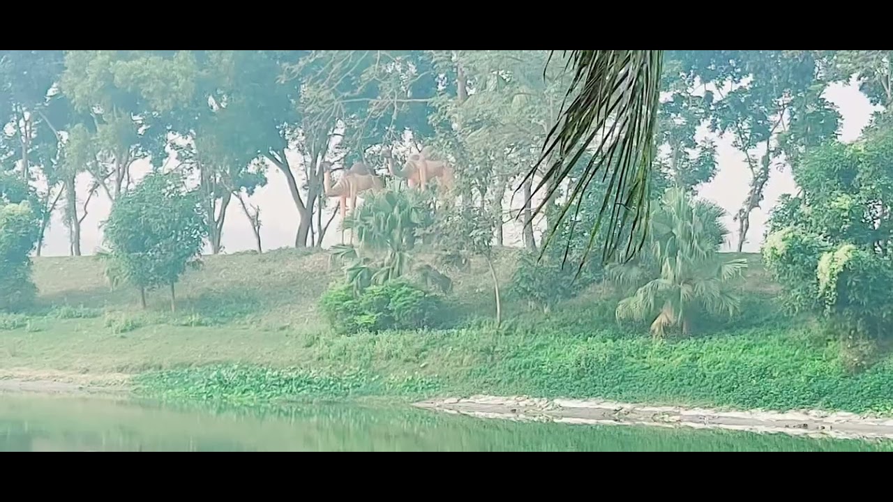 rangpur Park - YouTube