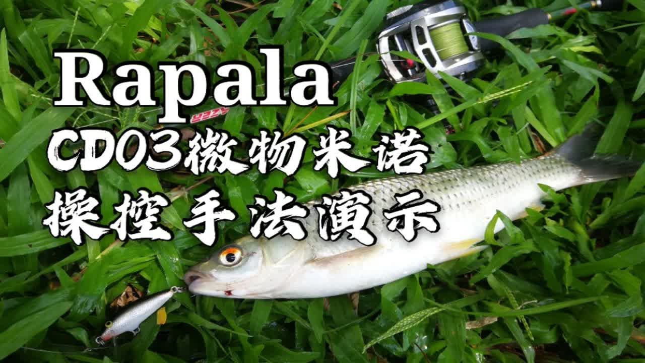 Rapala CD03微物米诺的操控手法2 - YouTube